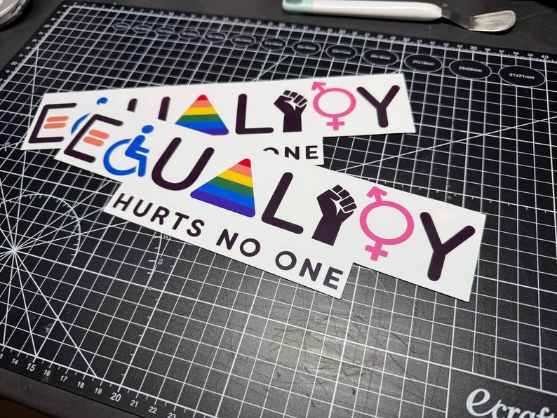Equality Sticker or Magnet – LGBTQIA+, Disability, Feminist, Inclusive ...