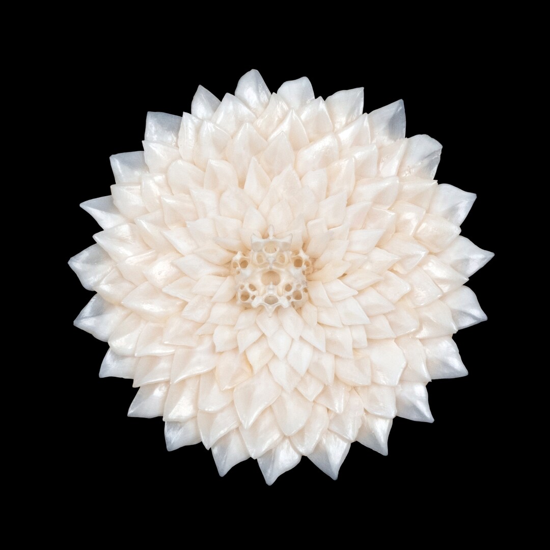 Gar Scale Floral Sculpture Ariel - Etsy