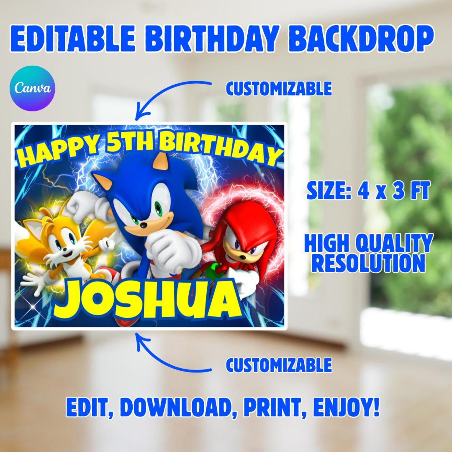 Sonic Birthday Backdrop Sonic Backdrop Sonic Editable Backdrop Sonic ...