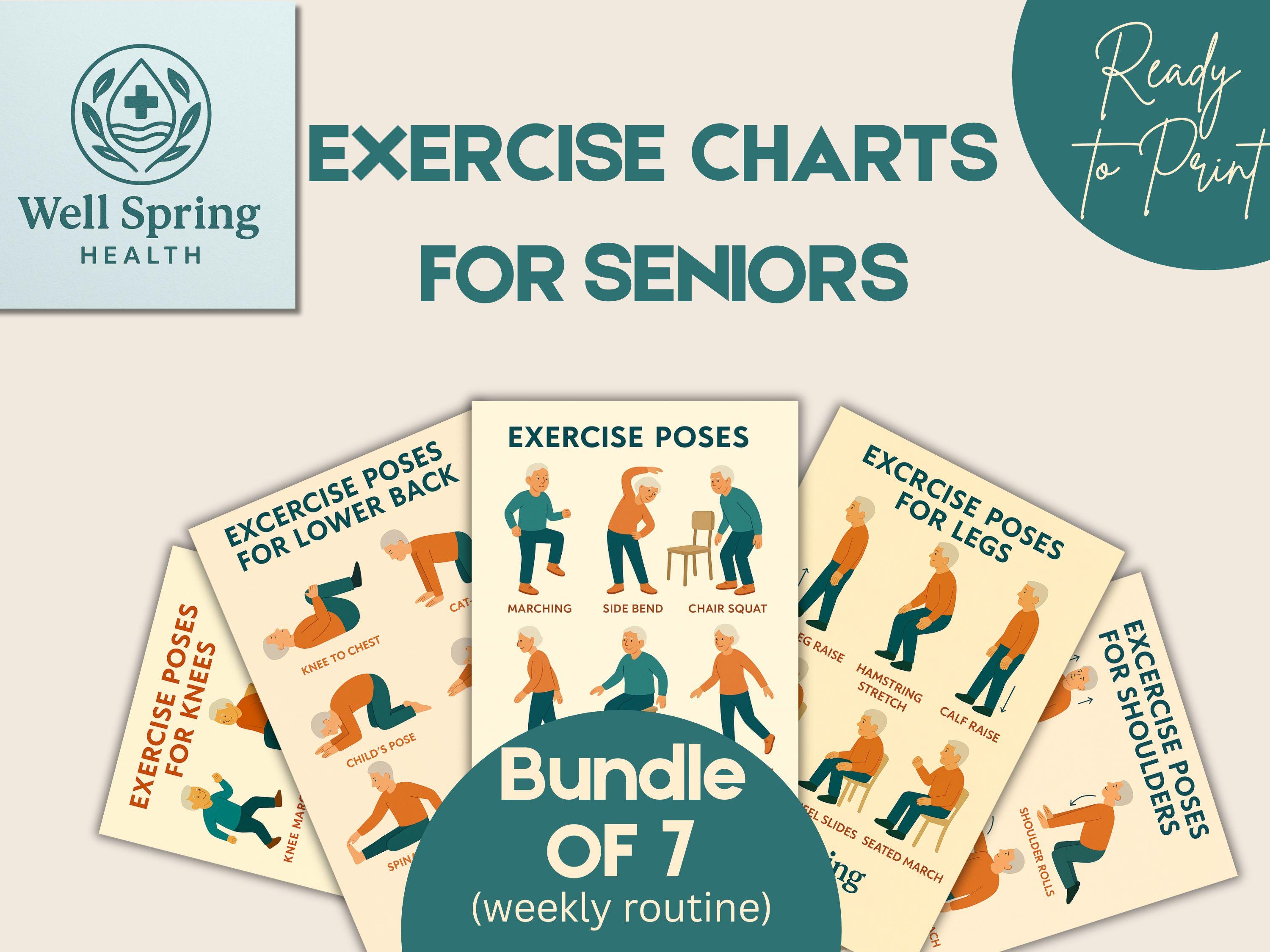 7 Senior Exercise Charts Printable – Gentle Seated & Standing Stretches ...