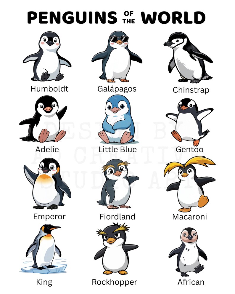 Penguins of the World PNG, Cute Chibi Penguin Clipart for Teachers ...