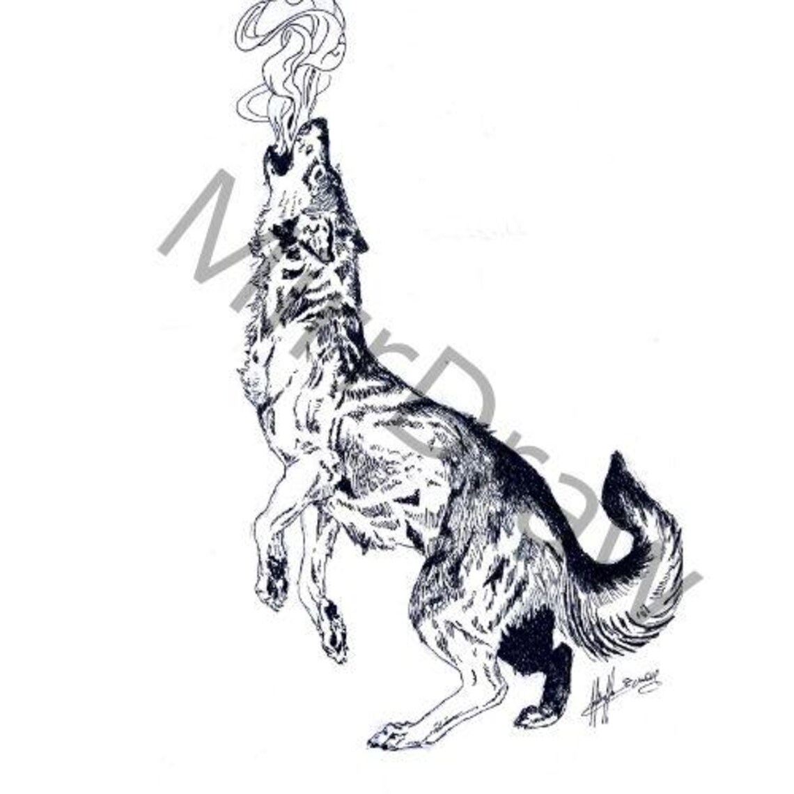 Howling Wolf Ink Drawing – Hand-drawn Art Print, Animal Illustration ...