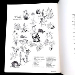 Book the Story of Navajo Weaving by Kate Peck Kent 1961 Heard Museum 61 ...