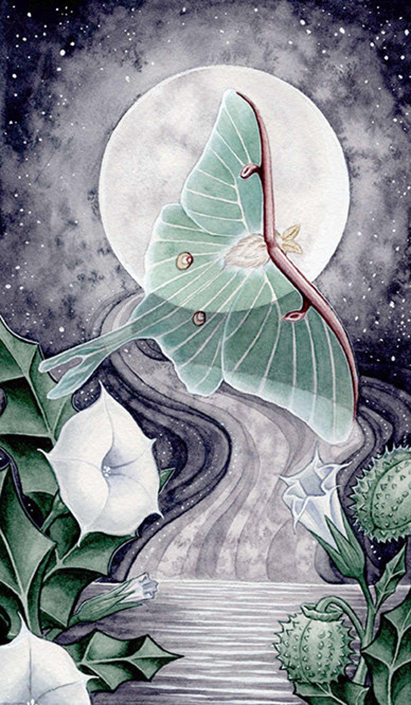 The Moon Tarot Print Luna Moth Cards Major Arcana - Etsy