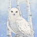 Snowy Owl Compact Mirror - Watercolor Art - Clamshell - Pocket - Purse ...