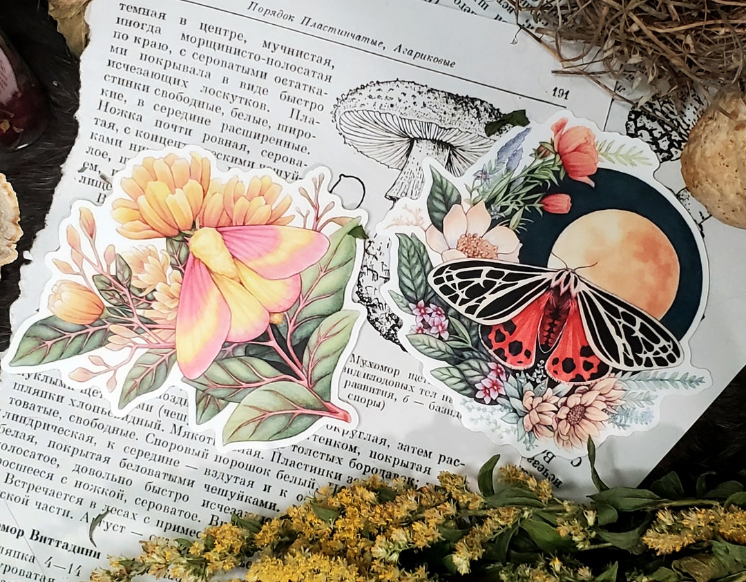 Moth Vinyl Stickers 3.5 Inch - Nightwake Collection - Tiger - Rosy ...