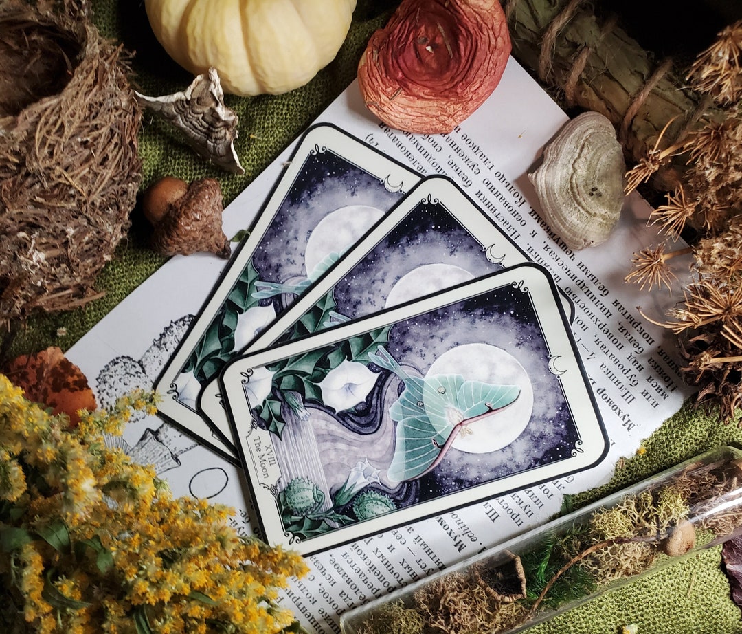 Luna Moth - the Moon - Tarot Vinyl Sticker - Large 4 Inch - Etsy