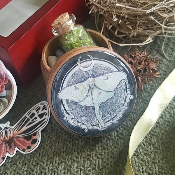 Luna Moth - Etsy