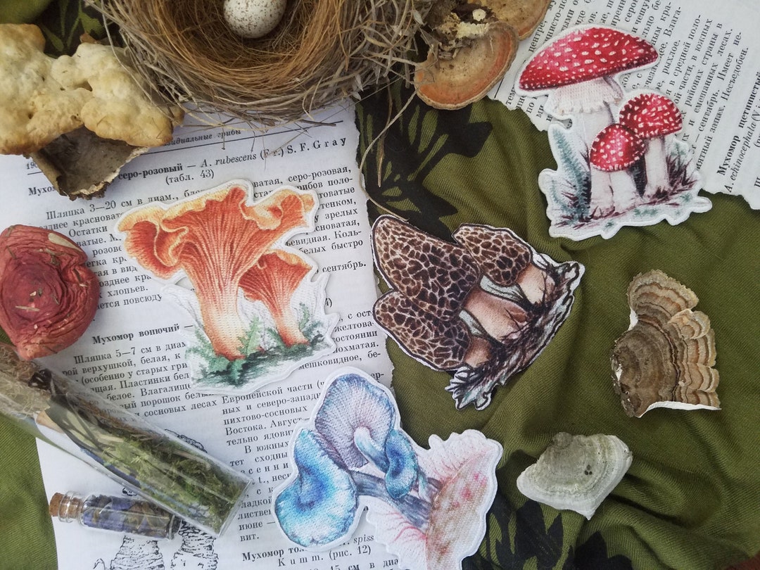 Mushroom Patch - Iron on Patches - Large - Morel - Chantrelle- Indigo ...