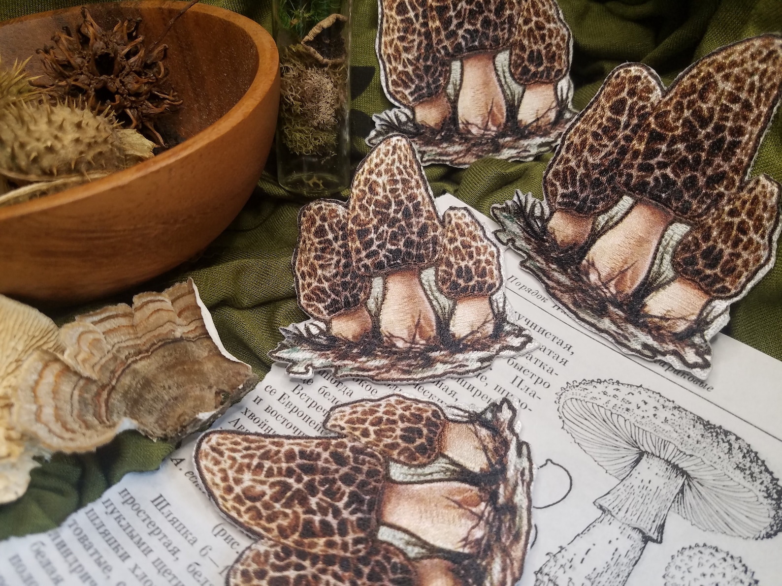 Mushroom Patch Iron on Patches Large Morel Chantrelle | Etsy