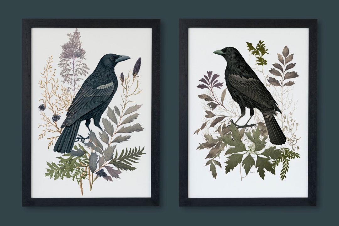 Raven Botanical Art Prints, Set of 2, Avian Crow Decor (digital ...