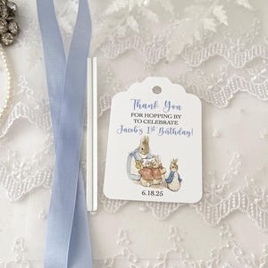 Peter Rabbit Birthday Favor Bags, Peter Rabbit 1st 2nd Birthday Gift ...