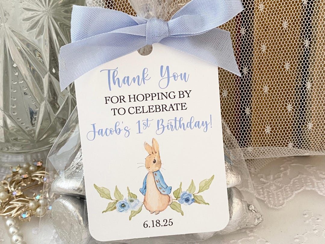 Peter Rabbit Birthday Favor Bags, Peter Rabbit 1st 2nd Birthday Gift ...