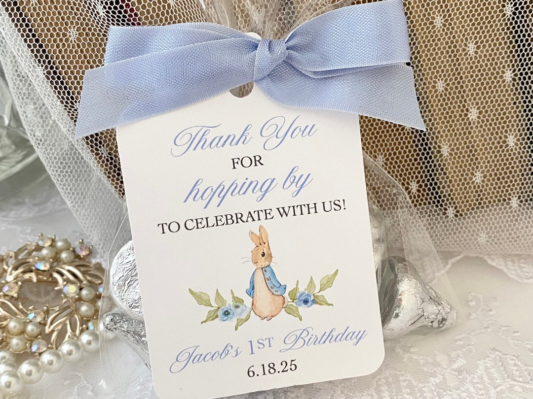Peter Rabbit Birthday Favor Bags, Peter Rabbit 1st 2nd Birthday Gift ...
