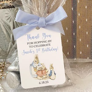 Peter Rabbit Birthday Favor Bags, Peter Rabbit 1st 2nd Birthday Gift ...