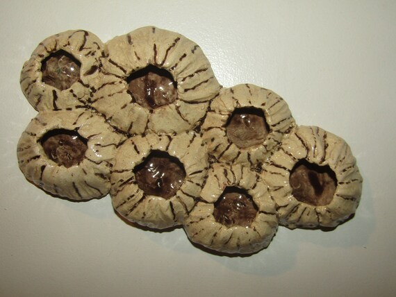 Clay Barnacles Wall Art Clay Wall Art Ceramic Wall Art - Etsy