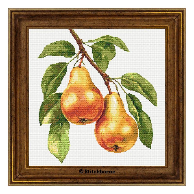 Pear Tree Pattern - Etsy