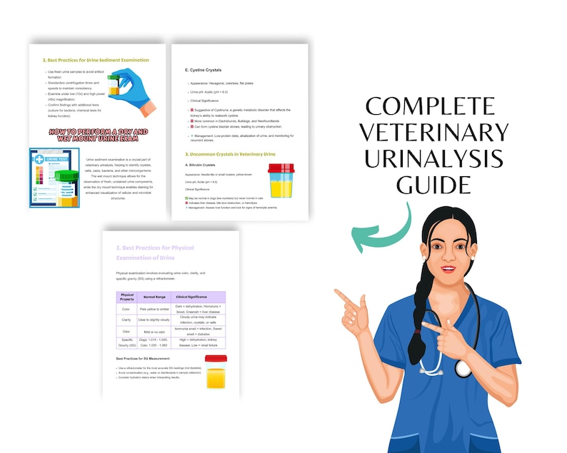 Veterinary Urinalysis Guide: Vet Tech & Student Notes (digital Download ...