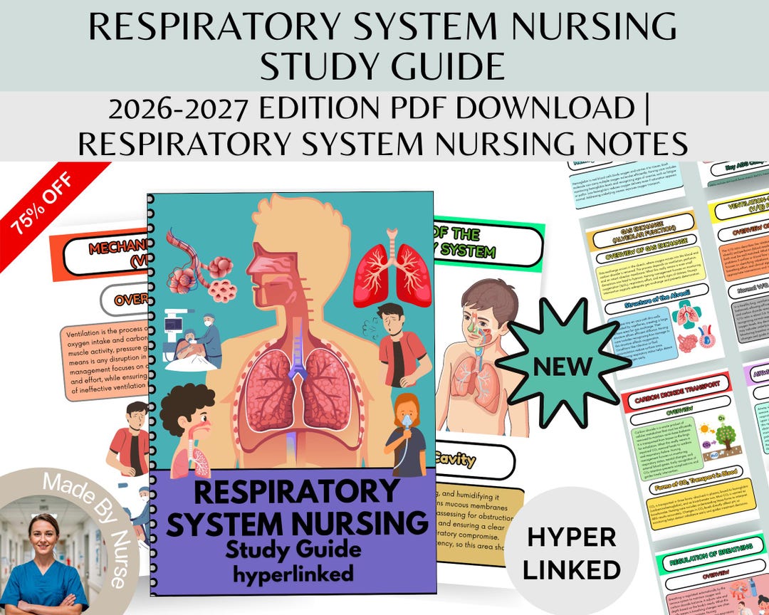 Respiratory System Nursing Study Guide: Complete Notes, Assessment ...