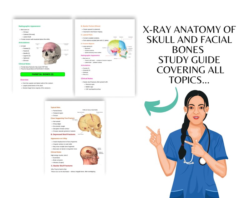 X Ray Anatomy of Skull and Facial Bones Study Guide ,advanced Edition ...