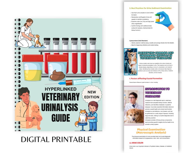 Veterinary Urinalysis Guide: Vet Tech & Student Notes (digital Download ...
