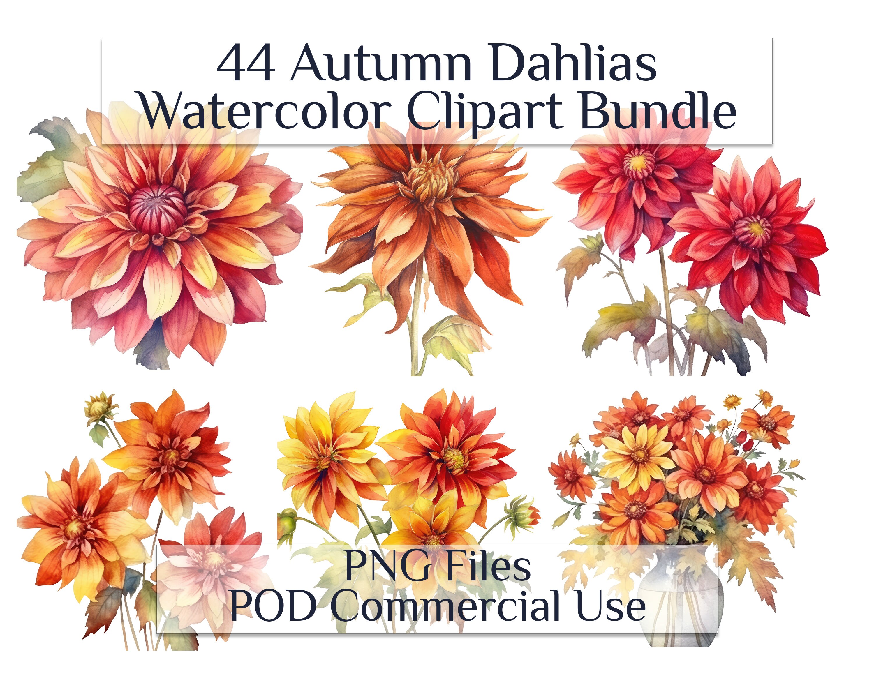 Autumn Dahlia Watercolor Clipart Bundle Fall Flowers Clip - Etsy