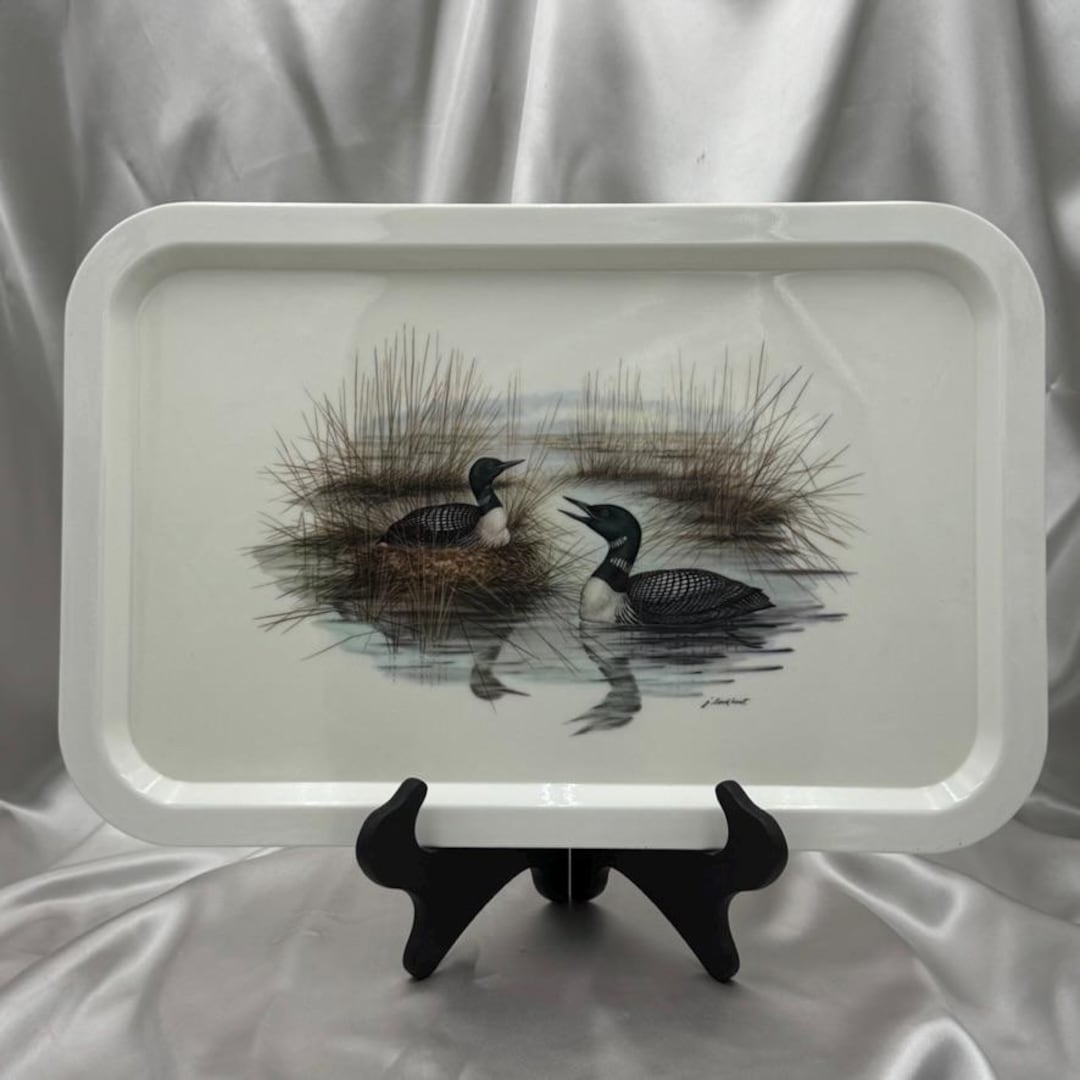 1980s Italian Melamine Loon Tray by Walden Press Giovanni Trimboli ...