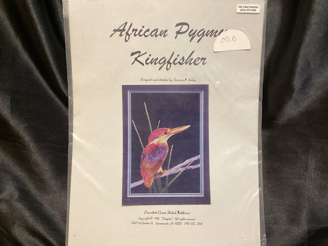 Dimples African Pygmy Kingfisher Chart 1996 - Etsy
