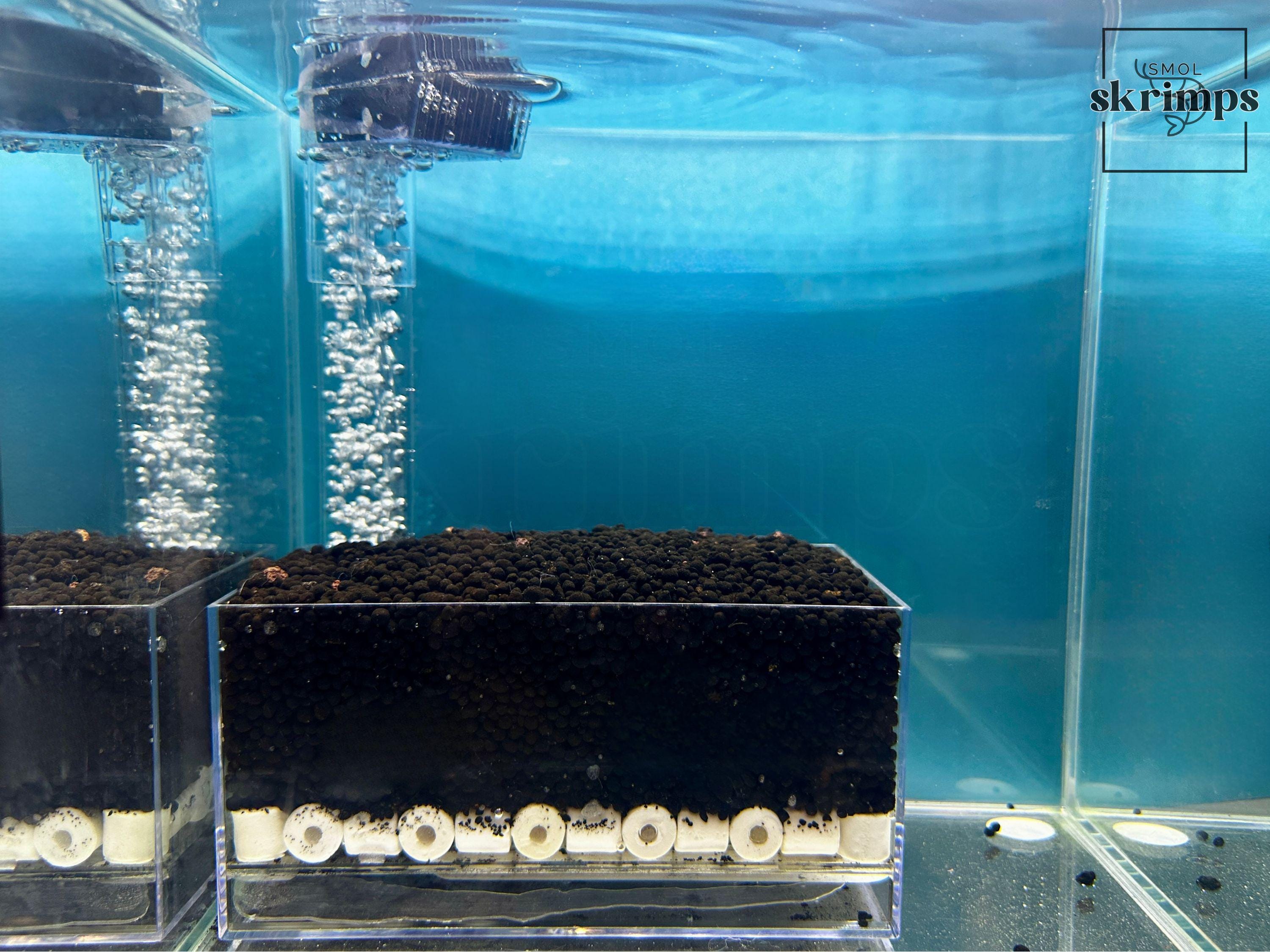 Custom Acrylic Under Gravel Filter Box: Nano Shrimp Tank UGF - Etsy