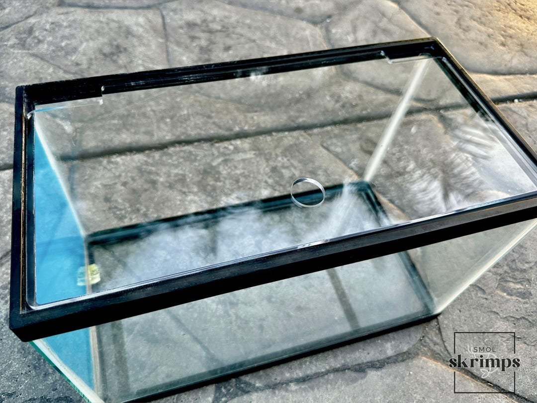 Acrylic Aquarium Lid: 2.5/5.5/10 Gallon | Clear Terrarium Cover ...