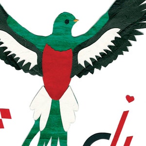 Pre-order-quetzal Print-quetzal-quetzal Art-quetzal Bird-bird Wall Art ...