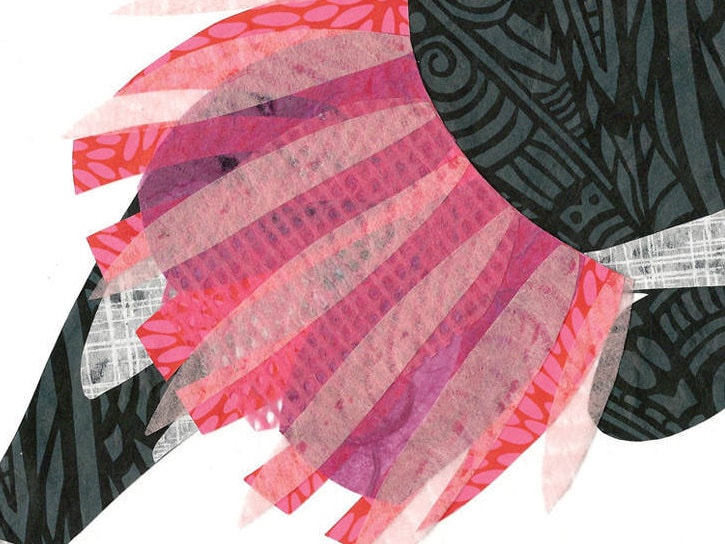 Orca Card-killer Whale-ballerina-ballerina Card-orca Art-whale Print ...
