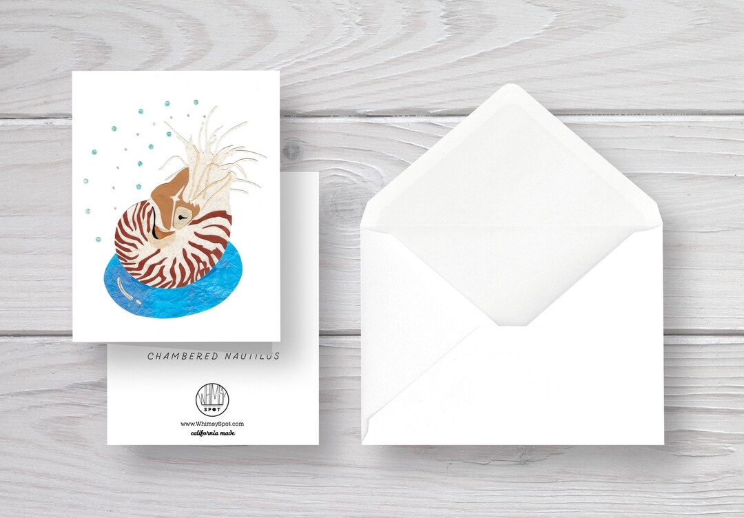 Nautilus Card-chambered Nautilus-nautilus Art-ocean Card-nautilus Shell ...