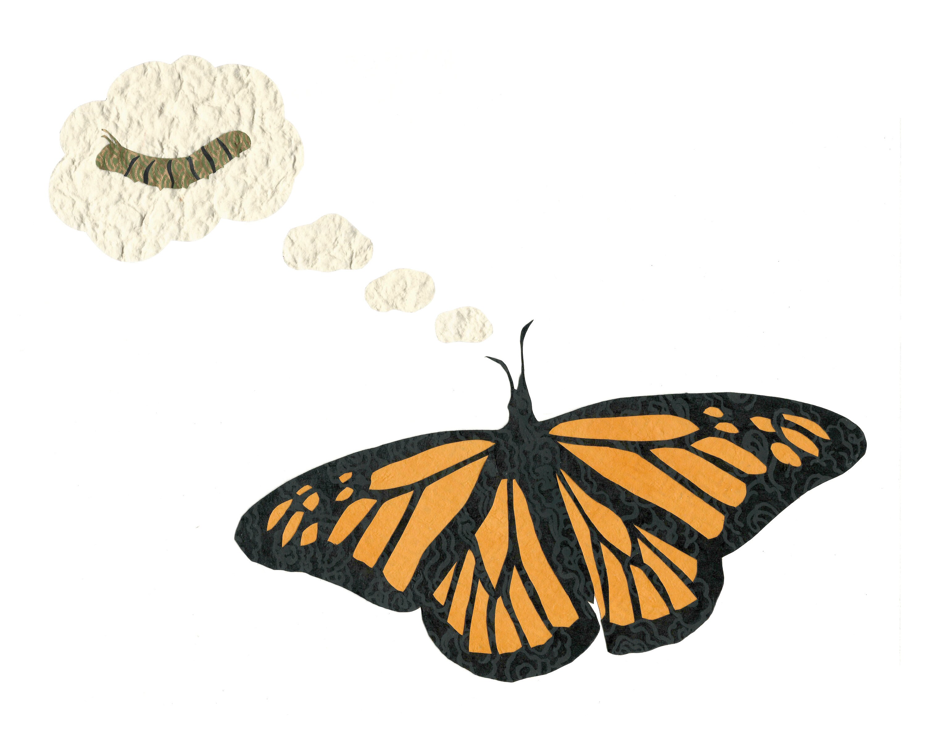 Butterfly Print-monarch Butterfly-monarch Print-butterfly - Etsy