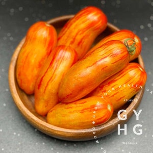 Casady's Folly Paste Rare Tomato Seed tom Wagner Variety | Etsy