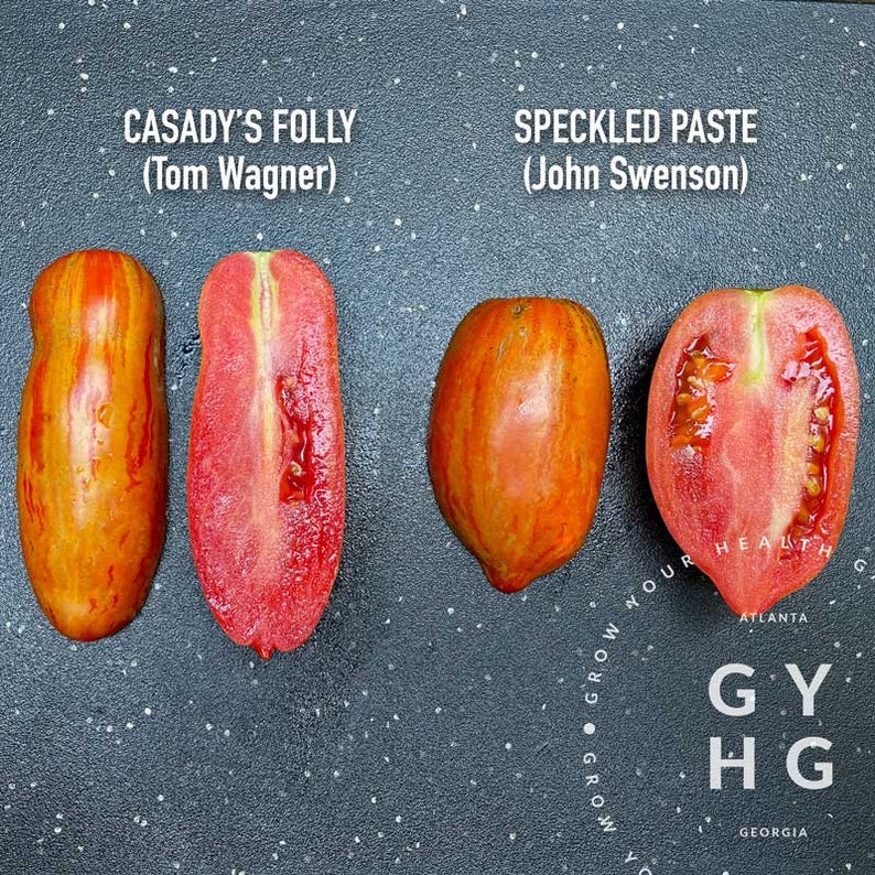 Casady's Folly Paste Rare Tomato Seed tom Wagner Variety - Etsy
