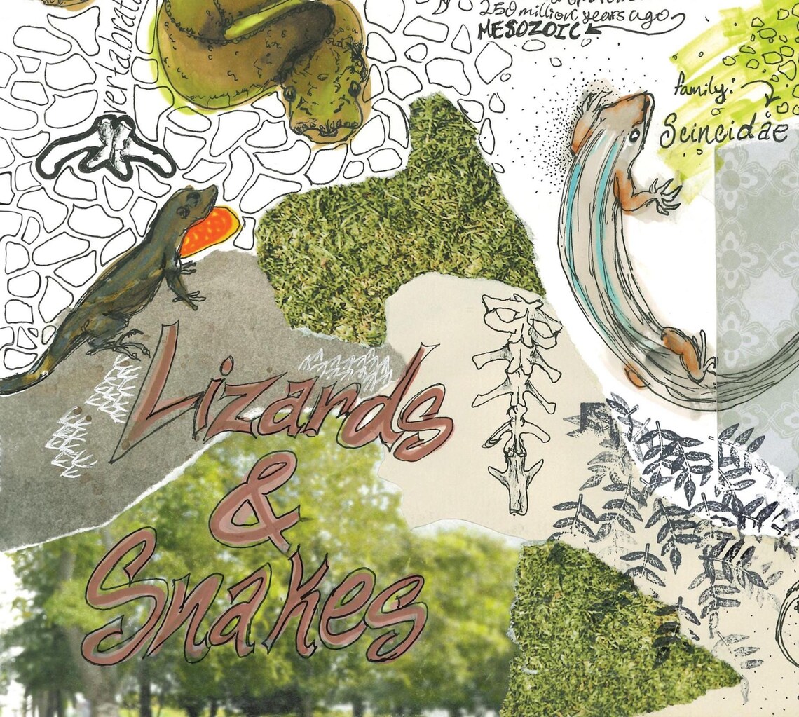 Squamata: Lizard & Snake Collage, Print - Etsy