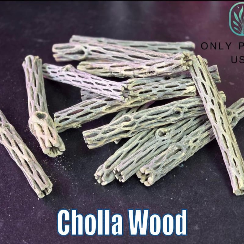 Cholla Wood - Etsy
