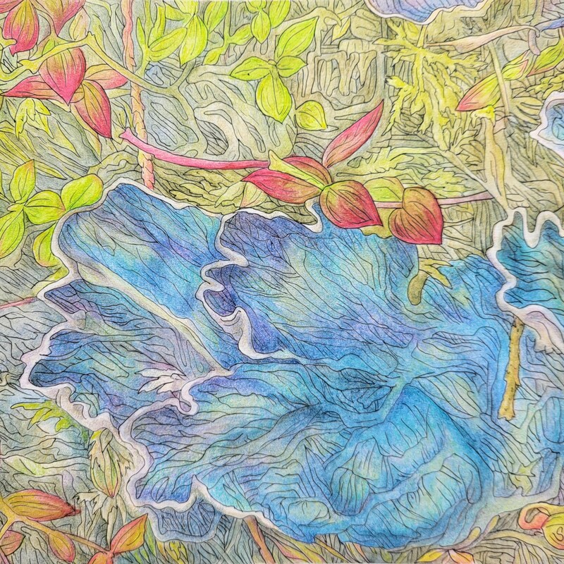 Lichen Drawing - Etsy