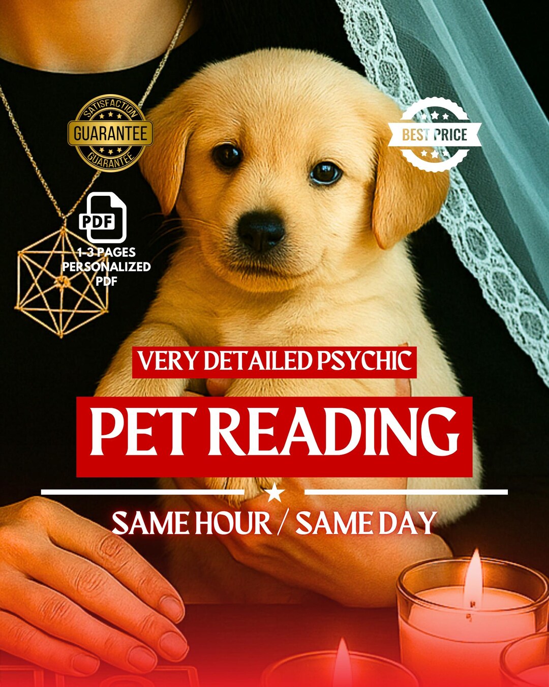 SAME HOUR Pet Tarot Reading, Living Pet Psychic Reading, Deceased Pet ...