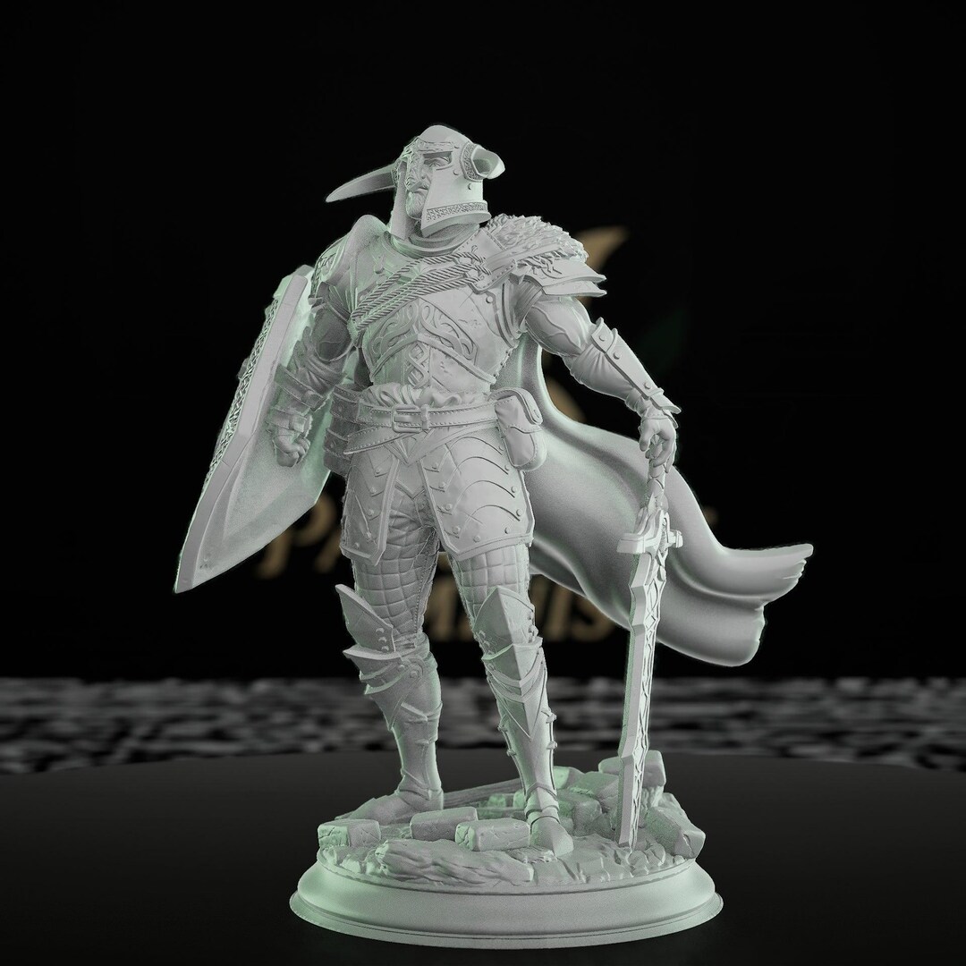 Paladin Warrior Shield Armor | Medium | DM Stash | D&D Dnd Pathfinder ...