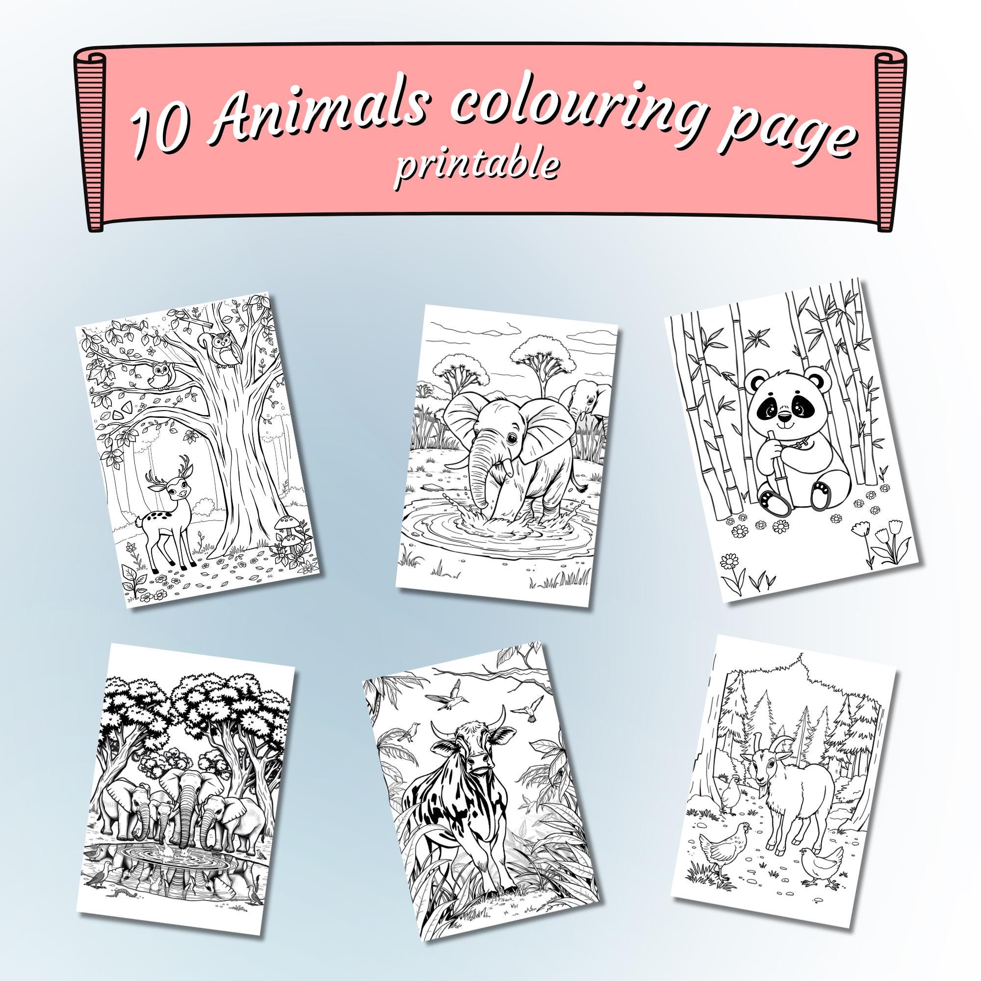 10 Cute Animal Coloring Pages, Zoo, Farm, Forest, Sea Creatures ...
