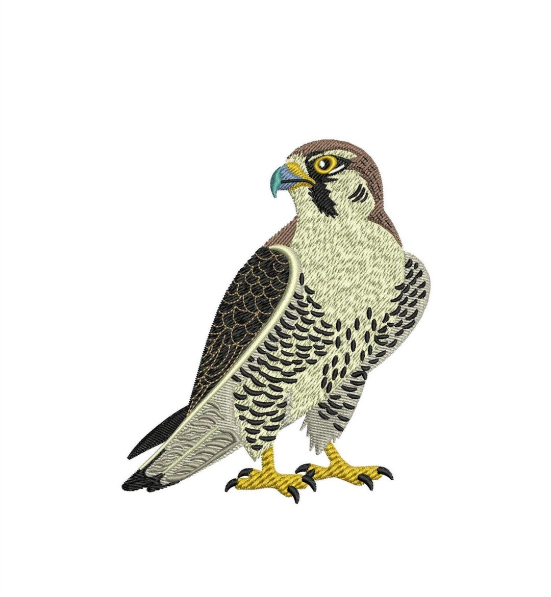 Peregrine Falcon Embroidery Design, Birdwatcher Embroidery Pattern ...