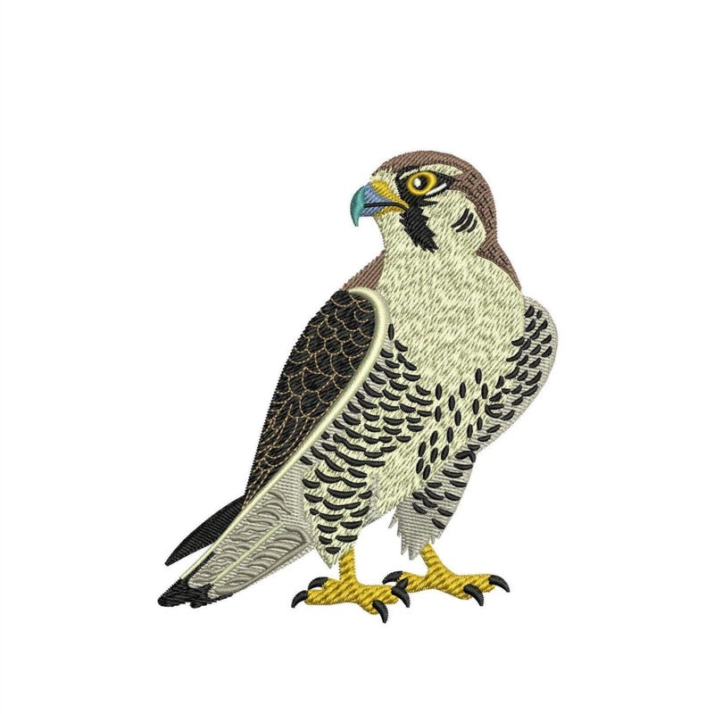Falcon Embroidery Design - Etsy