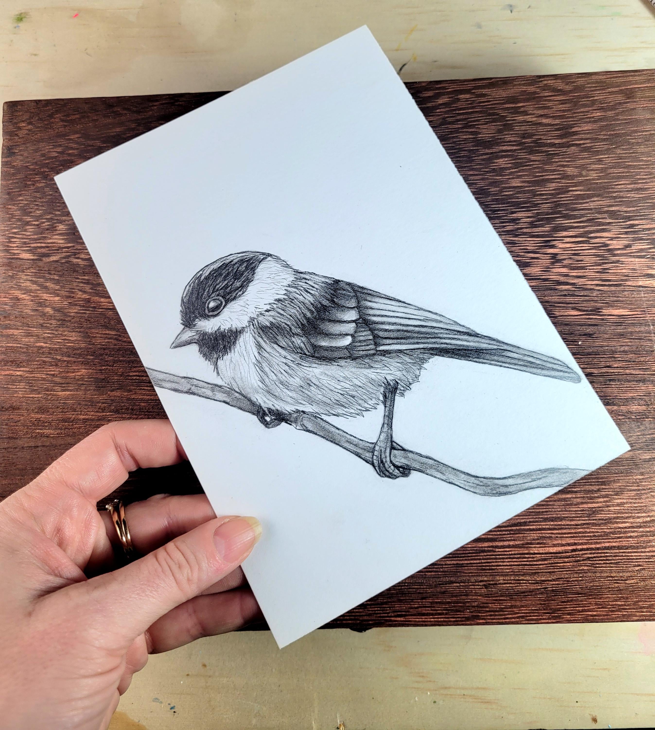Original Chickadee Pencil Drawing - 129 - Etsy