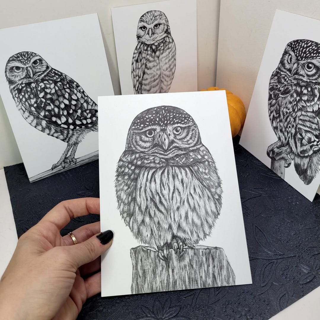 Owl Print Set (4) (pencil Drawing Prints) - Etsy