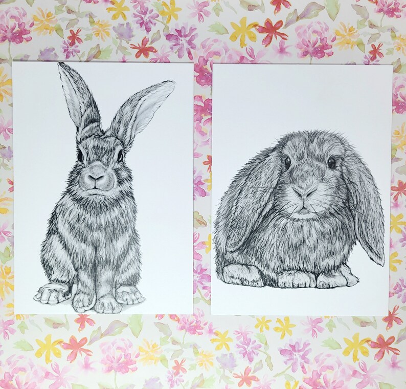 Bunny Rabbit Pencil Drawing Prints set of 4 - Etsy