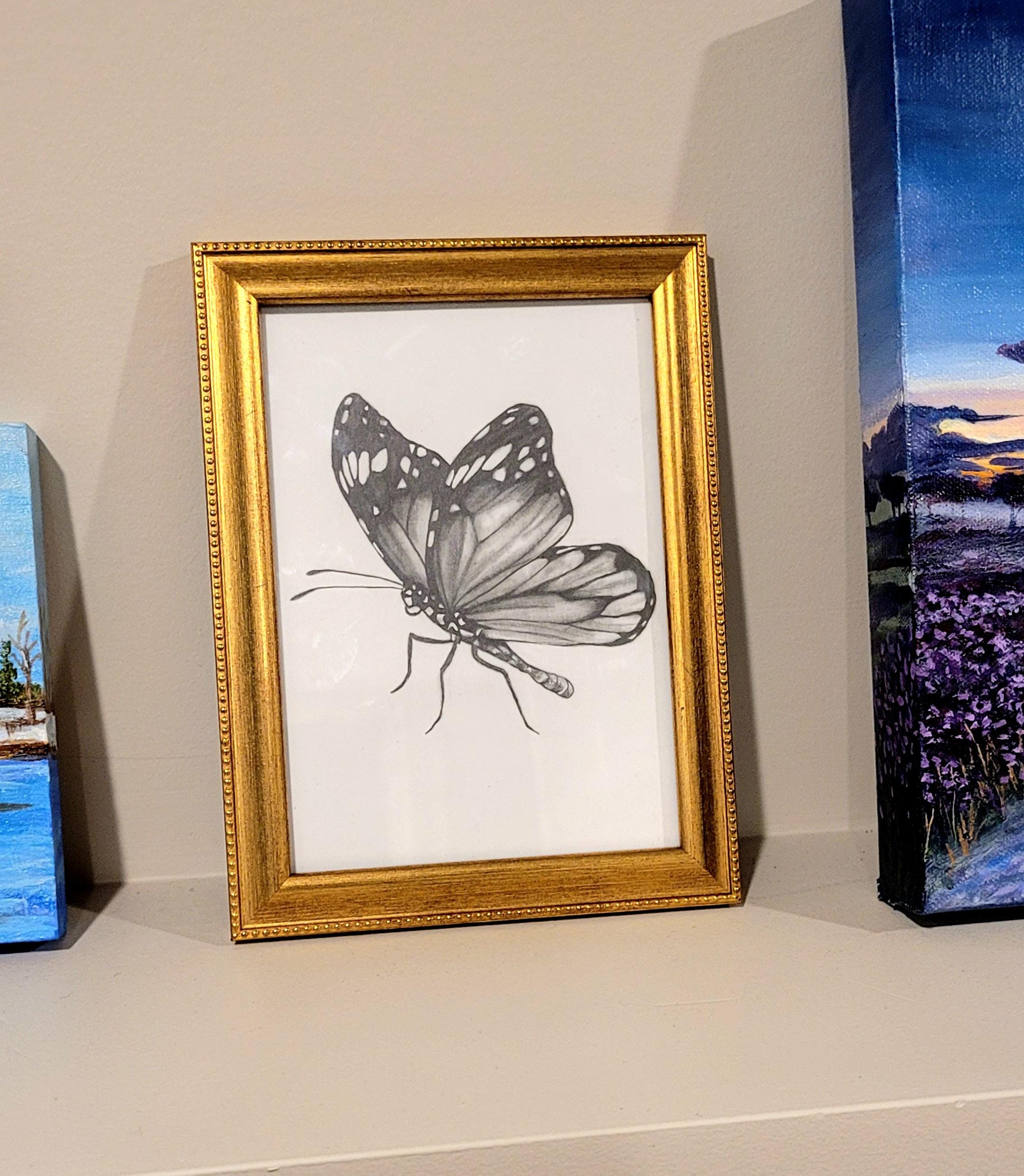Original Butterfly Pencil Drawing - 130 - Etsy