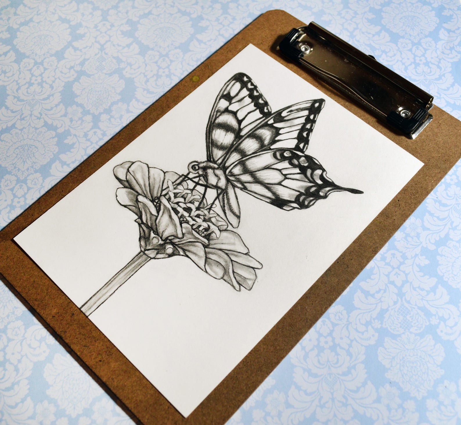 Original Butterfly Flower Pencil Drawing - 71 Butterfly - Etsy