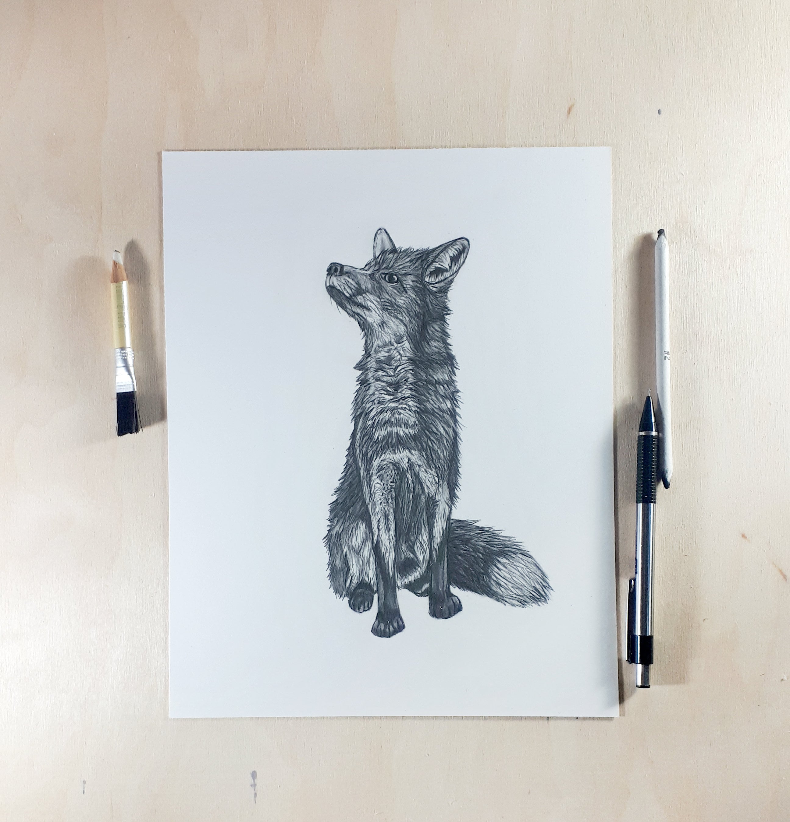 Red Fox Original Pencil Drawing 18 - Etsy
